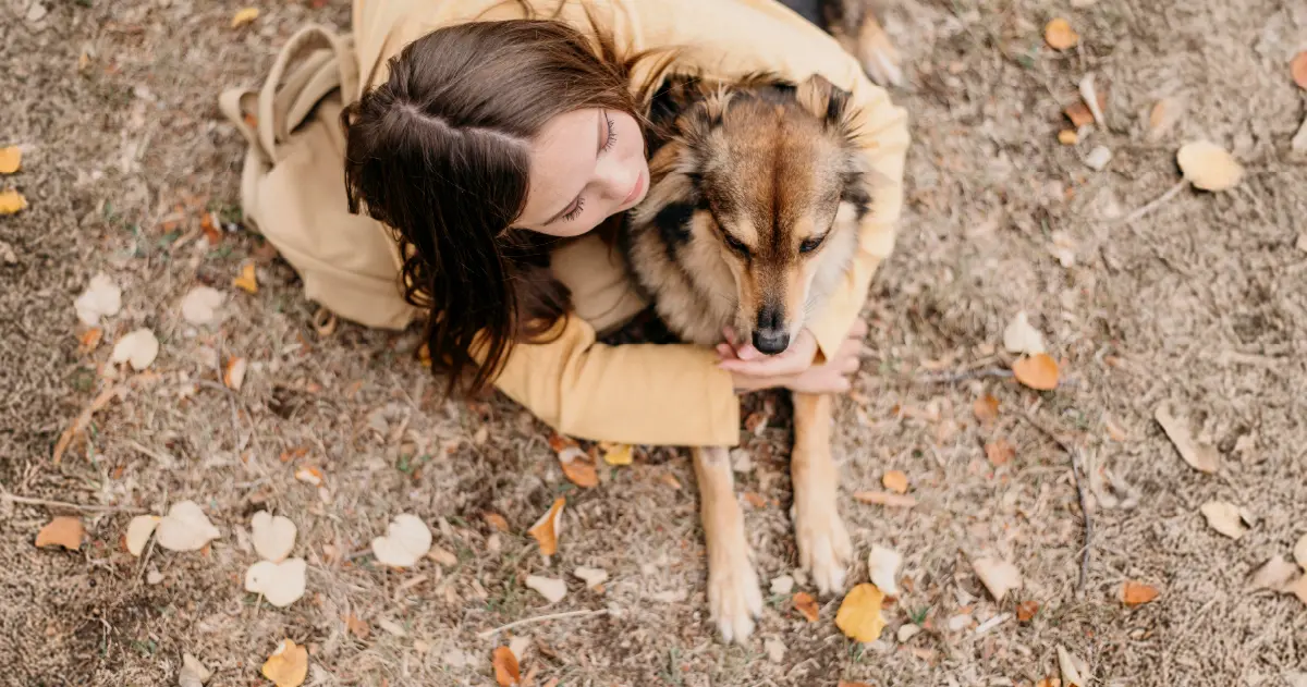 Strengthening the Human-Animal Bond: A Shared Connection
