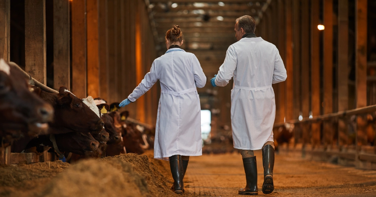 Veterinary Medicine Impact: Protecting Life on the Planet